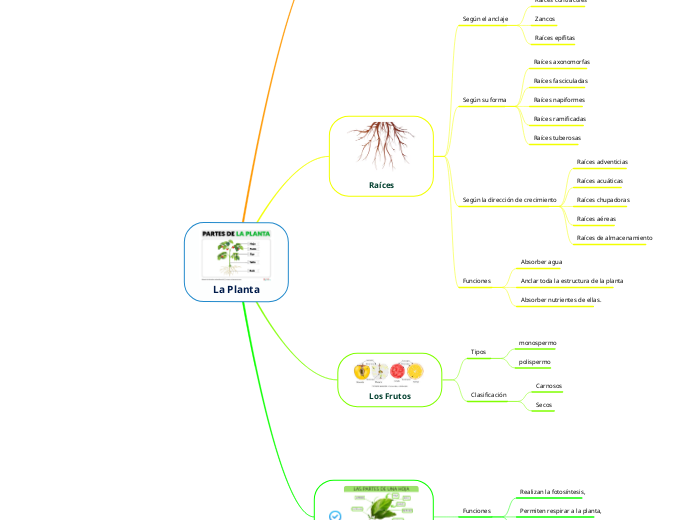 La Planta - Mind Map
